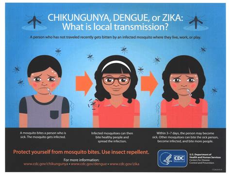 Chikungunya Dengue Or Zika Ashtabula County Health Department