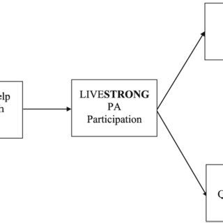 Path Analysis Of Hypothesized Relationships Controlling For Age Sex Download Scientific