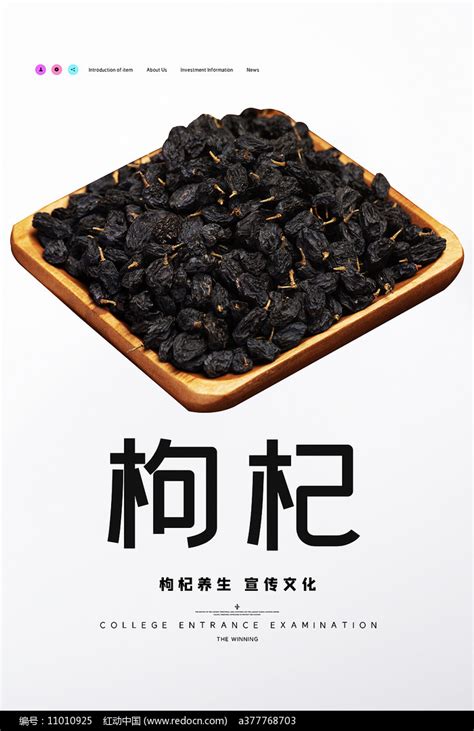 枸杞养生海报图片下载 红动中国