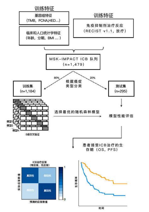Nature Biotechnology 机器学习 提高肿瘤免疫治疗预测效果 患者 癌症 模型