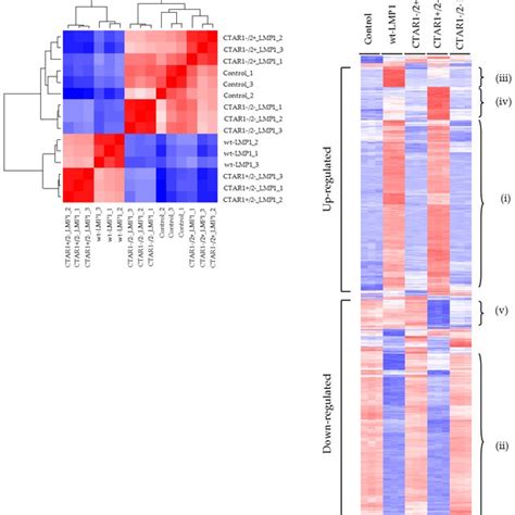 Heatmaps Of Pearson Correlation And Relative Expression Of Probe Sets Download Scientific