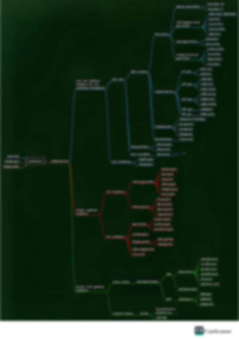 Solution Pharmacology Drug Chart Studypool