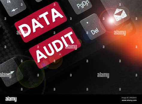 Conceptual Caption Data Audit Word Written On Auditing Of Data To Assess Its Quality For A