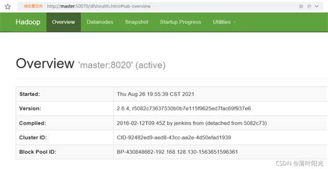 【hadoop】解决浏览器不能访问hadoop的50070、8088等端口 hadoop 落叶阳光 华为开发者空间