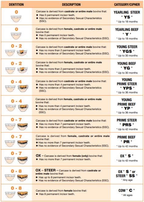 국가별 미국산 블랙앵거스 호주산 한우 소고기 등급 돼지고기 듀록 이베리코 한돈 네이버 블로그