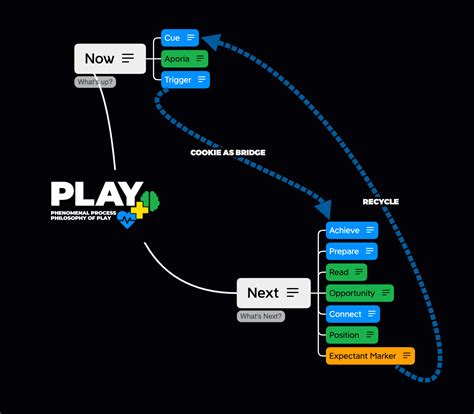 Play Cycle Pawsitive Vybe