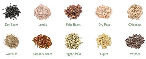 Global Pulse Day Pulses