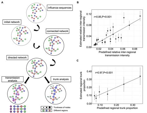 Mutation Network Framework And Simulation Validation A Flowchart Of