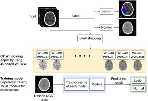 figure 3 from comparative evaluation of fixed windowing strategies on ct brain images using