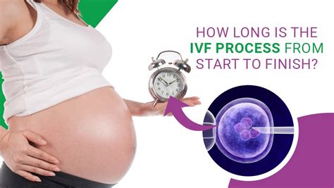 Ivf Timeline How Long Is The Ivf Process From Start To Finish