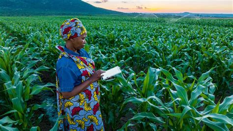 Crop Protection And Seed Growth Products From Bayer Bayer Global