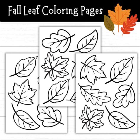 Fall Leaf Coloring Pages Leaf Printables Autumn Leaf Coloring Sheets