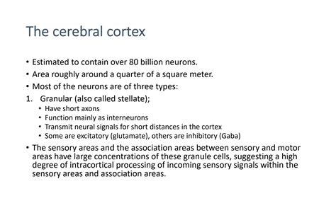 Solution 10 Higher Functions Of The Neocortex Studypool