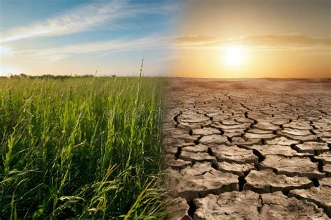 Split Image Of Lush Green Field Transitioning To Barren Land Under