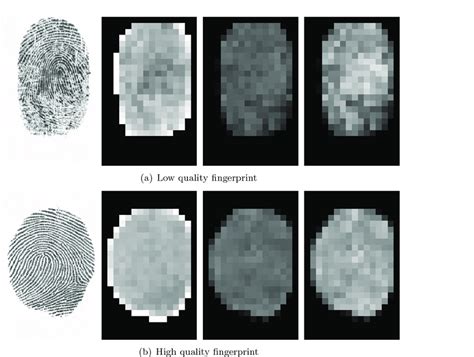 20 Estimation Of Fingerprint Quality Using Gray Level Statistics For Download Scientific