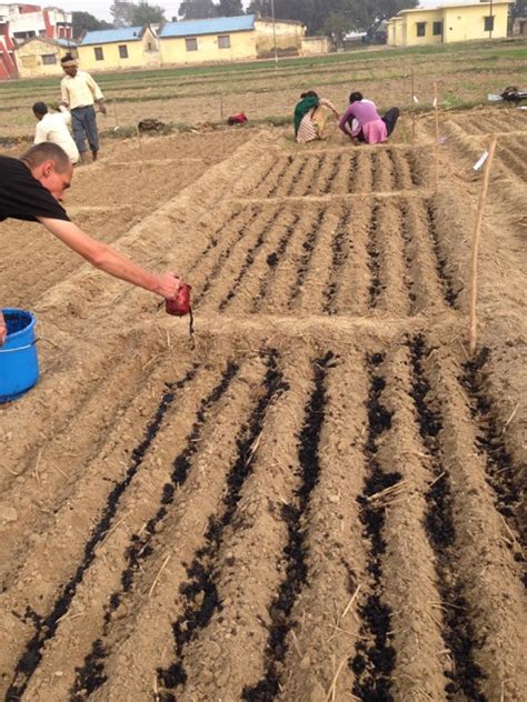 Ithaka Institute Biochar