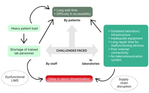 Diagnosis Of Tuberculosis In Low Resource Settings Overcoming Challenges Within Laboratory
