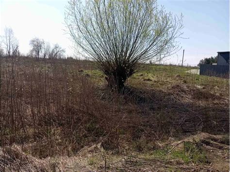 На Дрогобиччині за пів мільйона продали ділянку під промисловість — Lviv Media