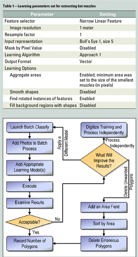 Flowchart Showing Procedures For Batch Processing Photos To Derive