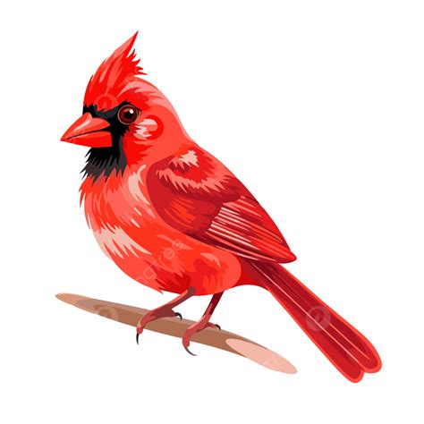 Cardinal Clipart Easy