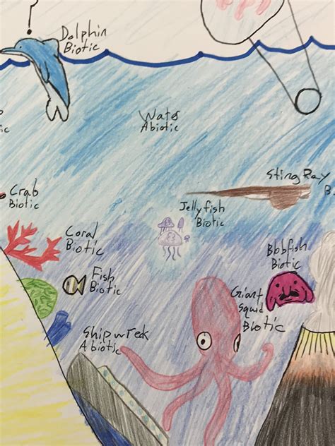Abiotic Factor Drawing