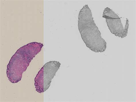 Inconsistent Pixel Value When Fetching With Non Zero Offset · Issue 417 · Openslideopenslide