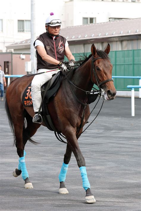 【注目馬動向】重賞2勝馬のキタウイングは秋華賞に直行予定 ライブドアニュース