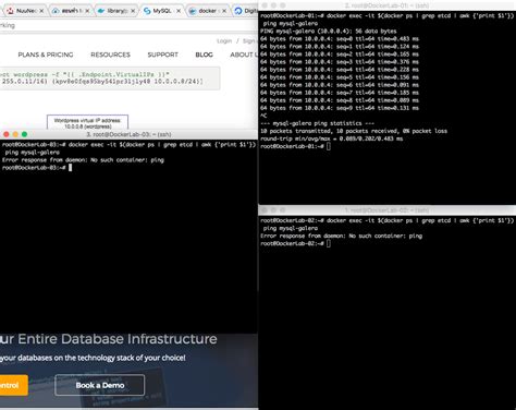 mysql docker swarm node cannot see service stack overflow