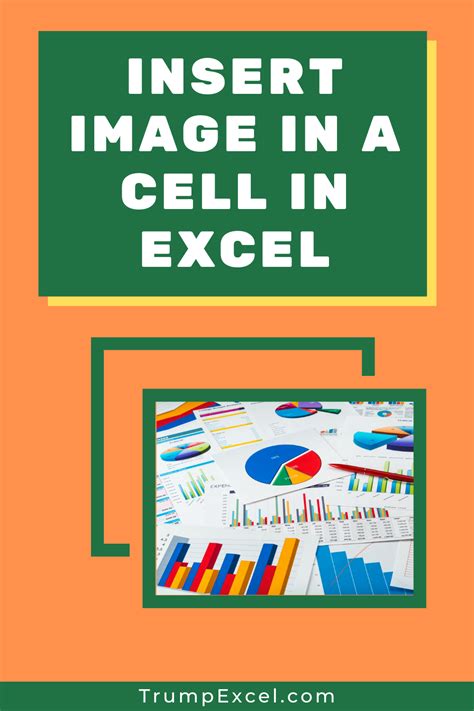 Can You Add An Image To A Cell In Excel Printable Forms Free Online