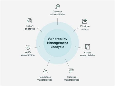 Vulnerability Assessment Process