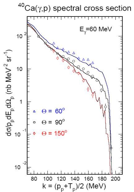 Gamma Nuclear Geant4webcernch