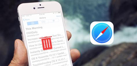 How To Delete Browsing History On IPhone Thoroughly