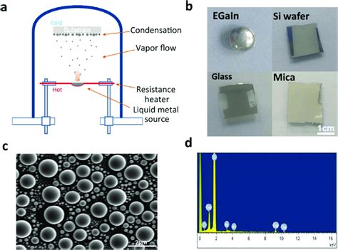 a a schematic for preparation of ga in liquid metal nanoparticles