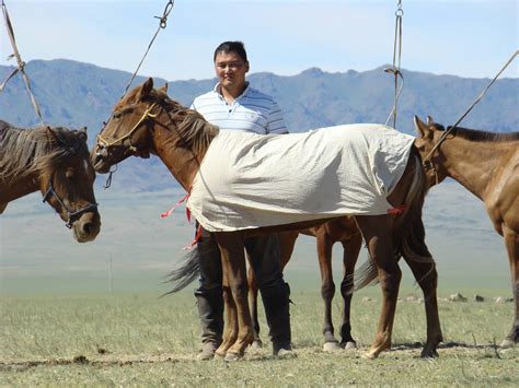 Нүүрэнтэйн Хөндийн Уяачдын нэгдсэн групп 🐎 Хурдан морь унаач хүүхдийн гэнэтийн ослын даатгал