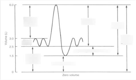 216 Lab Exam 2 Diagram Quizlet