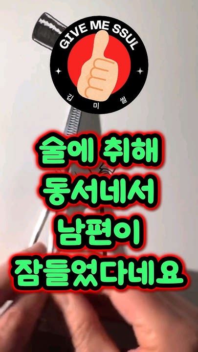 사별한 동서와 남편의 관계가 수상해요 Youtube