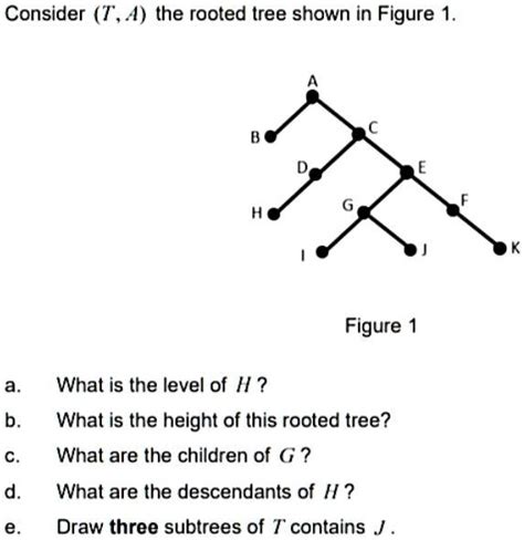 Solved Consider T A The Rooted Tree Shown In Figure 1 Figure 1 A
