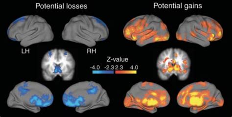 Appendix F Parametric Modulation — Andys Brain Book 10 Documentation