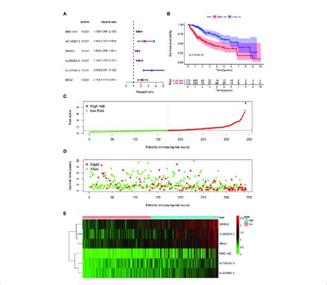 Construction And Assessment Of Immune Related Lncrna Prognostic Download Scientific Diagram