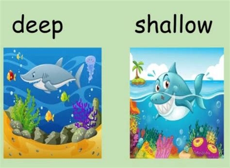 Python Coding Deepcopy Shallowcopy Developers Programmingtips