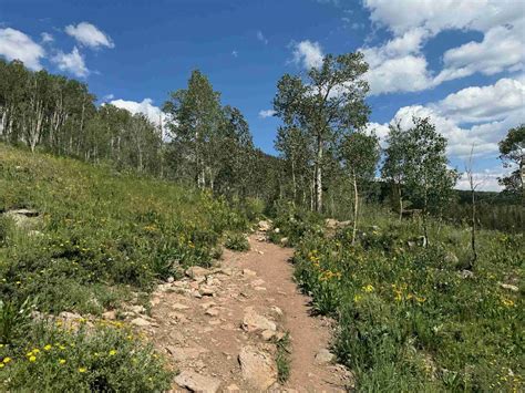 Judd Falls Trail Near Crested Butte Ultimate Hiking Guide The Next
