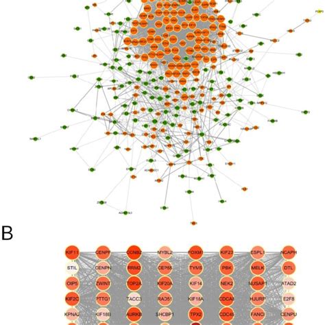 ppi network of degs and the module identified by mcode a