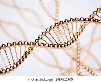 Genomics Research Images Stock Photos Vectors Shutterstock