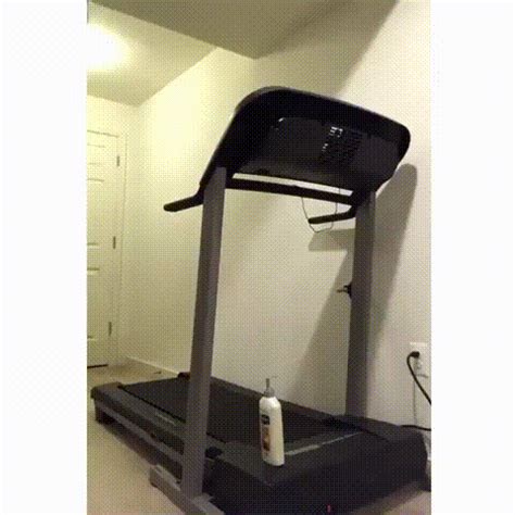 Treadmill Pictures And Jokes Funny Pictures Best Jokes Comics Images Video Humor Gif