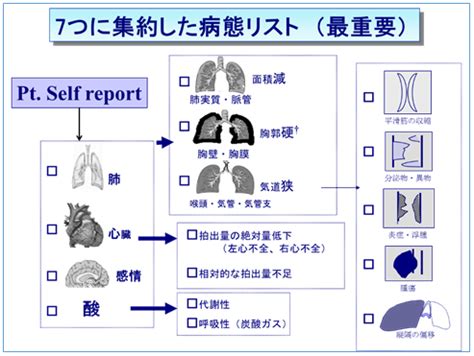 呼吸困難 アセスメントのためのリスト群治療可能な原因疾患を系統的に見落とさずに治療するためのサポートツール 中京病院 症状コントロールガイド