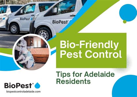 Bio Friendly Adelaide Pest Control Tips Pest Control