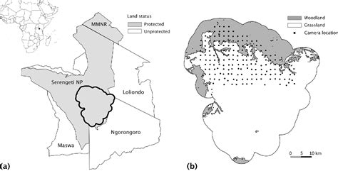 Figure 1 From Applying A Random Encounter Model To Estimate Lion Density From Camera Traps In