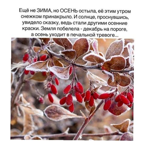 Пин от пользователя Natalia Н В С на доске Поэзия Осень Ноябрь Утренние цитаты