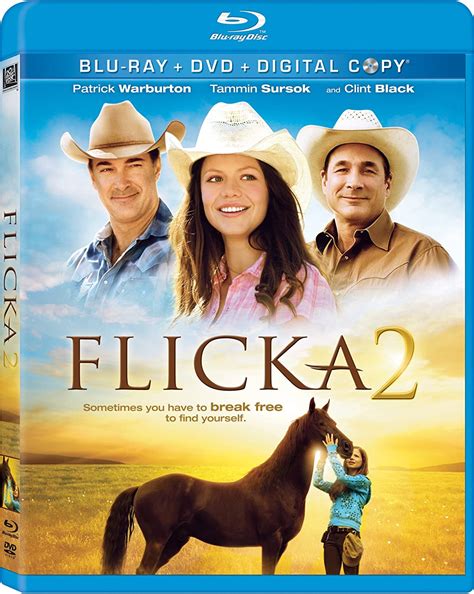 Jp Flicka 2 Blu Ray Dvd・ブルーレイ