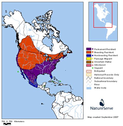 Americas Range Map Brown Headed Cowbird